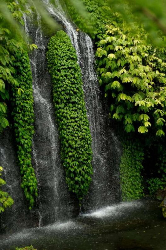 Bali: Dolphin Watching, Waterfall, Wanagiri and Ulun Danu - Practical Considerations and What You Should Know