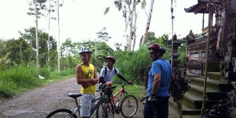 Bali Downhill Cultural Cycling Tour - Detailed Day Breakdown