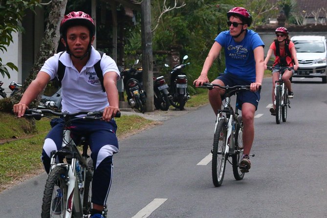 Bali Downhill Cultural Cycling Tour - What the Reviews Say