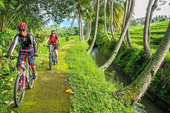 Bali Downhill Cycling and White Water Rafting - What’s Included and What’s Not