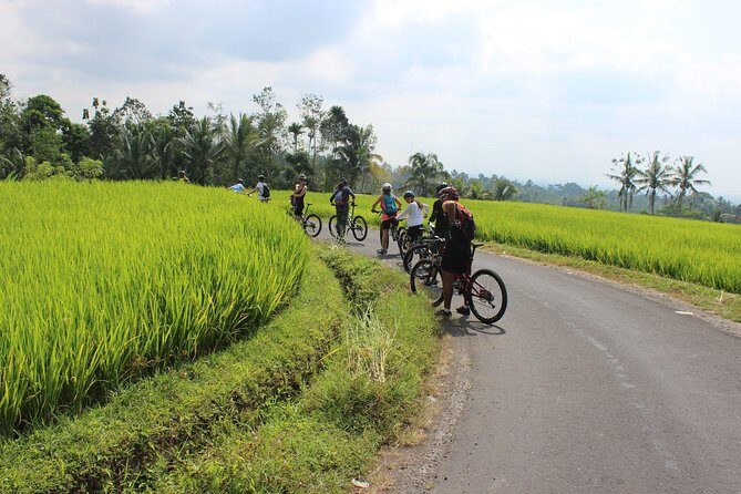 Bali Downhill Cycling and White Water Rafting - Who Should Consider This Tour?