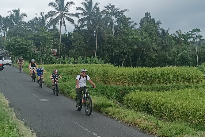 Bali Downhill Natural Cycling Tour & visit Volcano - The Sum Up