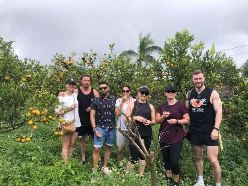 Bali: Downhilll Cycling, Marigold Farm, Rice Field & Temple - Detailed Breakdown of the Itinerary