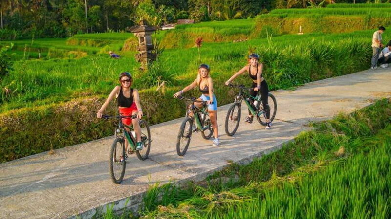 Bali: Downhilll Cycling, Marigold Farm, Rice Field & Temple - Frequently Asked Questions