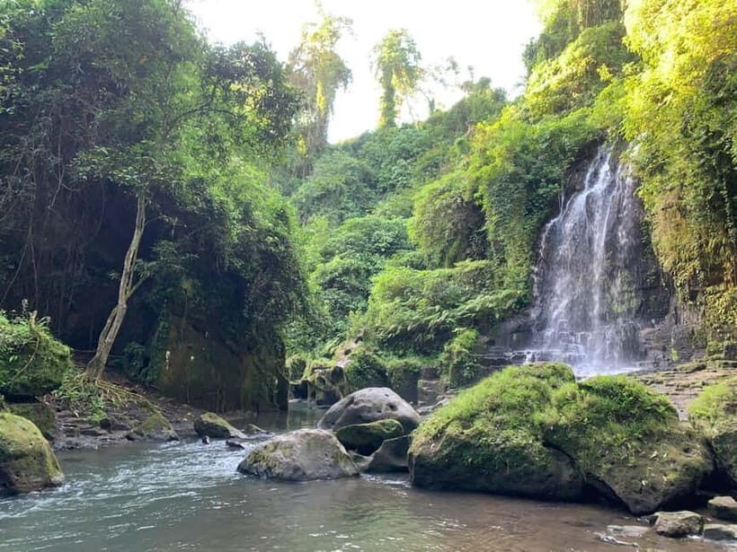 Bali: East Bali Day Trip with Temesi Waterfall - Who Is This Tour Best For?