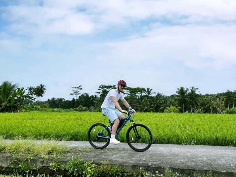 Bali: Electric Bike Cycle Tour through Rice Terrace - Bali: Electric Bike Cycle Tour through Rice Terrace