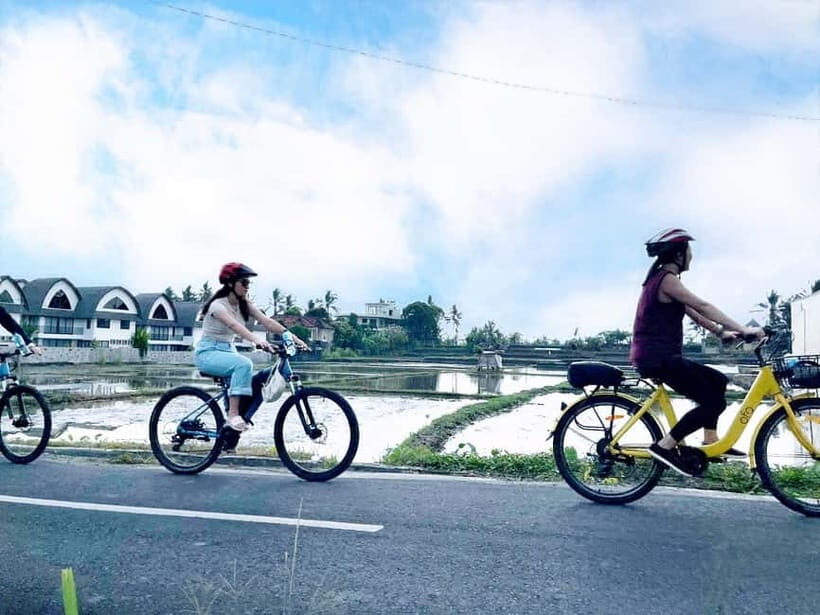 Bali: Electric Bike Cycle Tour through Rice Terrace - What to Expect from Your Bali Electric Bike Tour