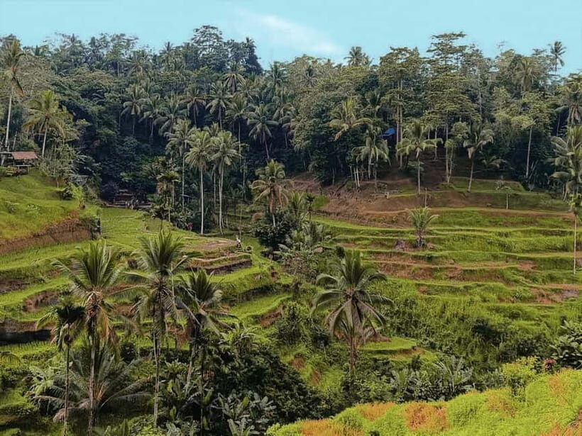 Bali: Electric Bike Cycle Tour through Rice Terrace - The Value Equation