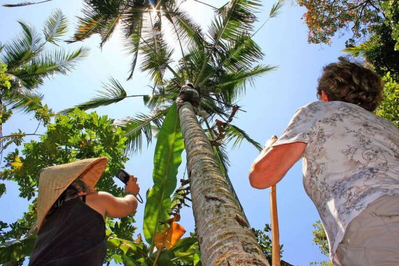 Bali: Experience Authentic Balinese Life Private Tour - What You Can Expect in Practice