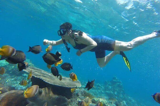 Bali Experience Blue lagoon snorkeling and hidden waterfall - Bali Experience Blue Lagoon Snorkeling and Hidden Waterfall: A Full Review
