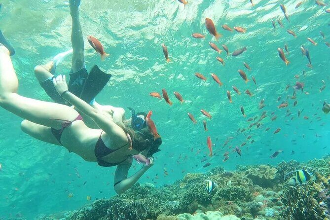 Bali Experience Blue lagoon snorkeling and hidden waterfall - Key Points