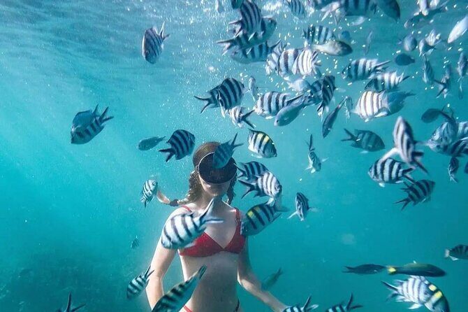 Bali Experience Blue lagoon snorkeling and hidden waterfall - What’s Included and What’s Not