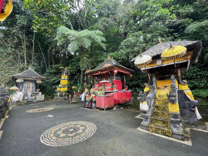 Bali Experience: Dance, Purification, & Culinary Journey - Making Balinese Offerings