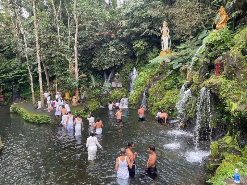 Bali Experience: Dance, Purification, & Culinary Journey - The Sum Up