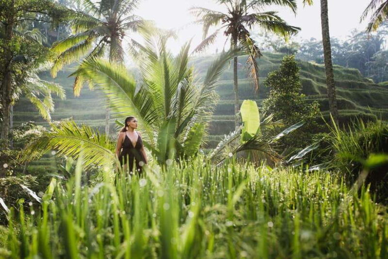 Bali : Explore Beauty of Ubud with 3 Best Tour Options - What to Expect from the Itinerary