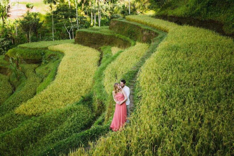 Bali : Explore Beauty of Ubud with 3 Best Tour Options - FAQs