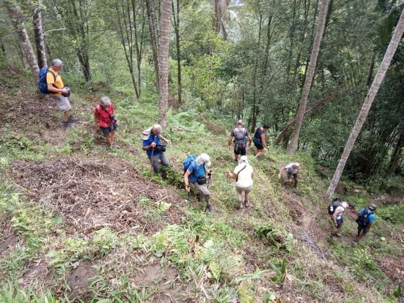 Bali: Explore culture and Trekking Beauty in Nongan Village - Practical Details and Value