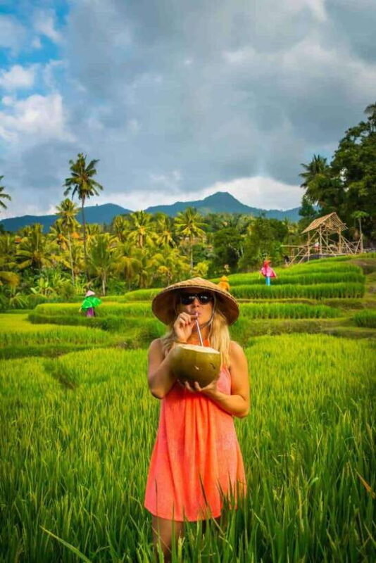 Bali: Explore North Bali Customized Day Tour - Itinerary Options: Flexibility Matters