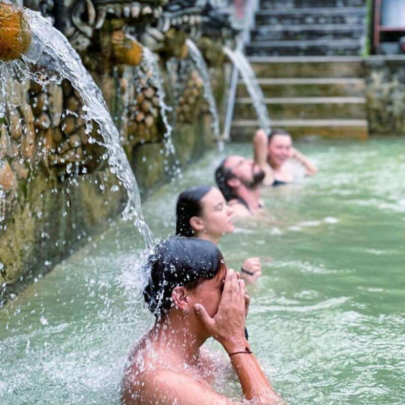 Bali: Explore North Bali Customized Day Tour - What to Expect During the Day