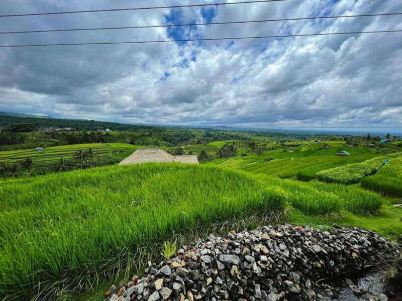 Bali: Explore North Bali Customized Day Tour - The Travel Experience: Comfort, Timing, and Value