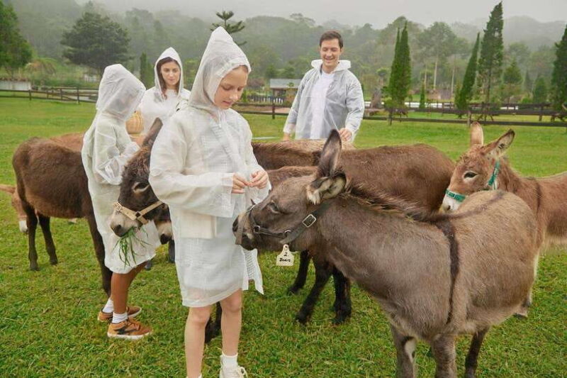 Bali: Farm House Experience with Entry Ticket & Options - Key Points