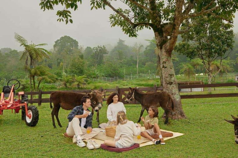 Bali: Farm House Experience with Entry Ticket & Options - Analyzing the Value and Practicalities