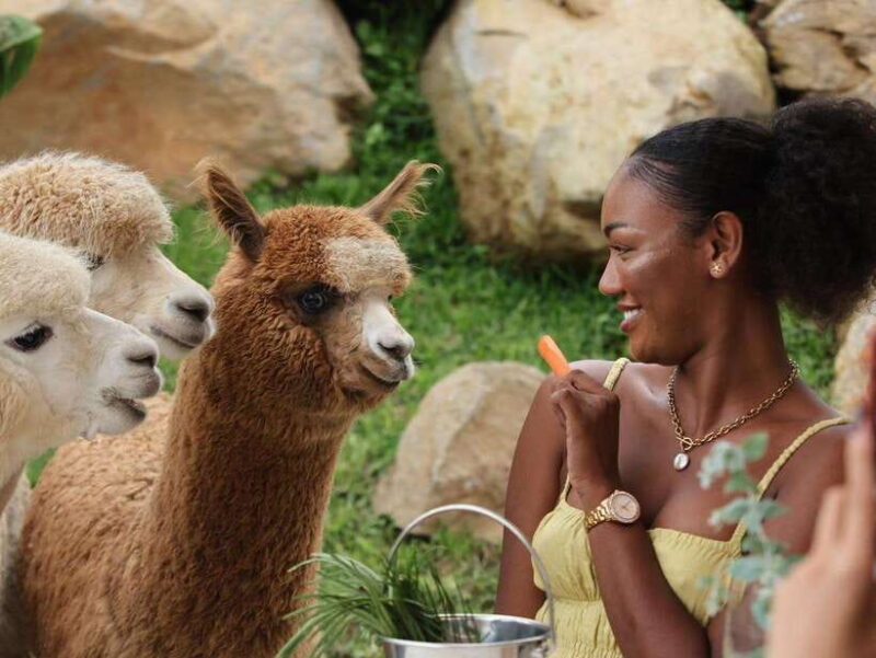 Bali: Farm House Experience with Entry Ticket & Options - Who Will Love This Experience?