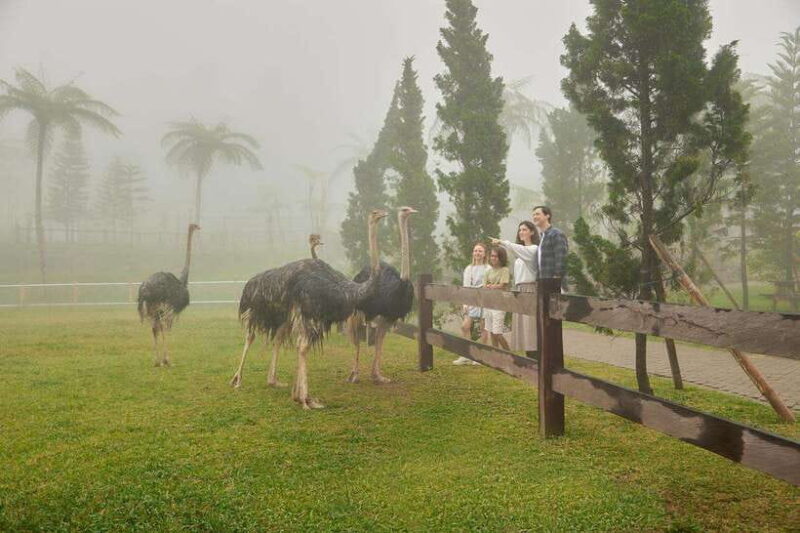 Bali: Farm House Experience with Entry Ticket & Options - FAQ