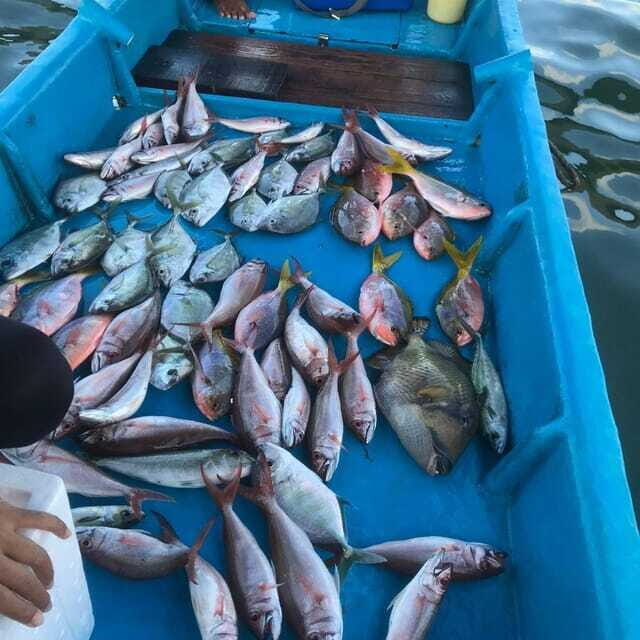 Bali fishing with tradisional boat - Who is this tour best suited for?