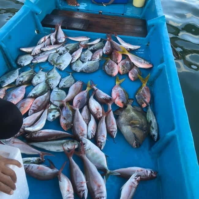 Bali fishing with tradisional boat - The Sum Up