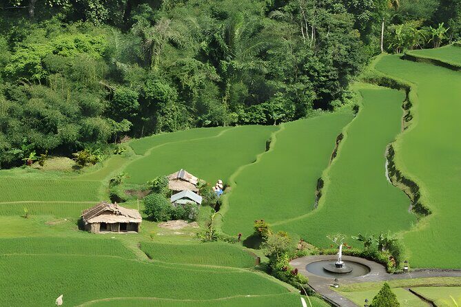 Bali Full-Day Car Charter: Beauty of North Bali Tour - Introduction to the North Bali Experience