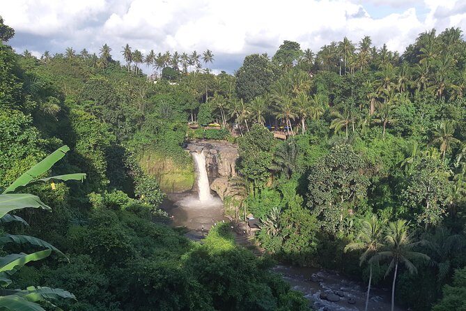 Bali Full Day Holy Water Tour - Who Would Enjoy This Tour?