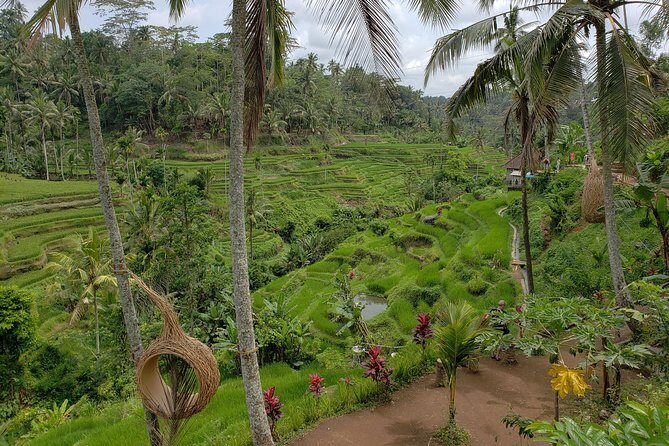Bali Full Day Holy Water Tour - The Sum Up