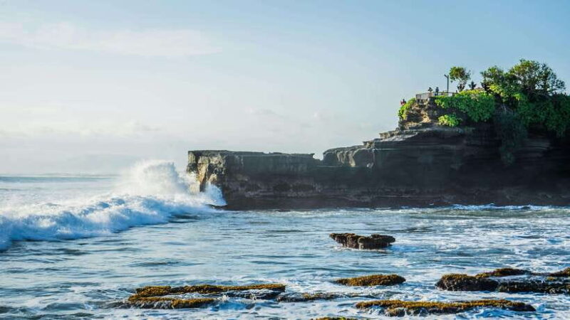 Bali: Full Day Jatiluwih Rice Terrace and Tanah Lot Tour - Who Will Love This Tour?