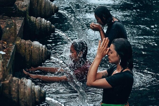 Bali Full Day Private Tour - The Practical Side: Booking, Timing, and Tips