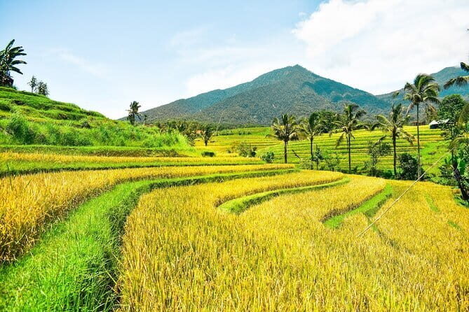 Bali Full Day Private Tour with Driver - Exploring the Bali Full Day Private Tour
