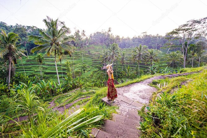Bali Full-Day Sightseeing Trip with Lunch - Key Points