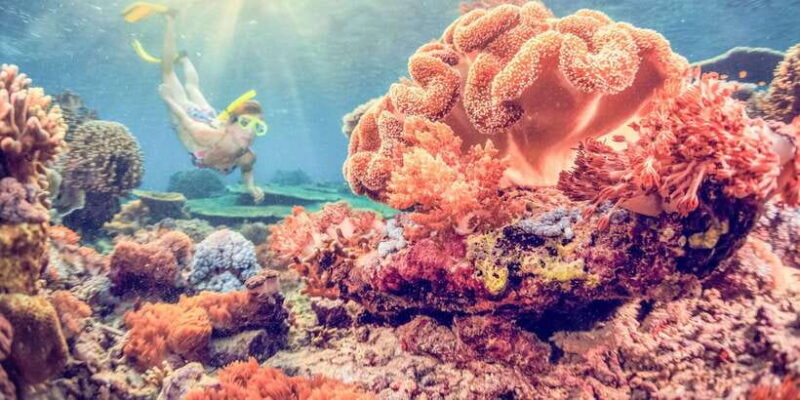 Bali: Full-Day Snorkeling Trip to Nusa Penida & Manta Point - What’s Included and What to Consider