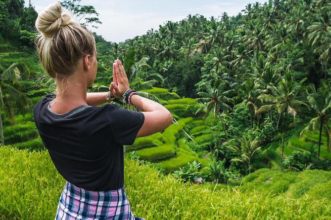 Bali Full Day Tour: Highlights of Ubud and Hidden Waterfall - Who Will Love This Tour?
