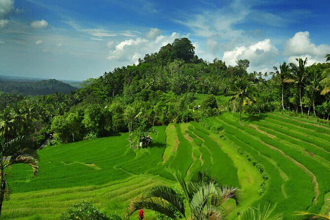 Bali Full Day-Tour: Kintamani Volcano and Besakih Temple Tour - An In-Depth Look at the Tour Experience