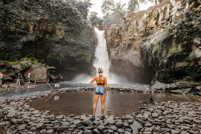 Bali Full Day-Tour: Ubud Sightseeing Trip - The Sum Up