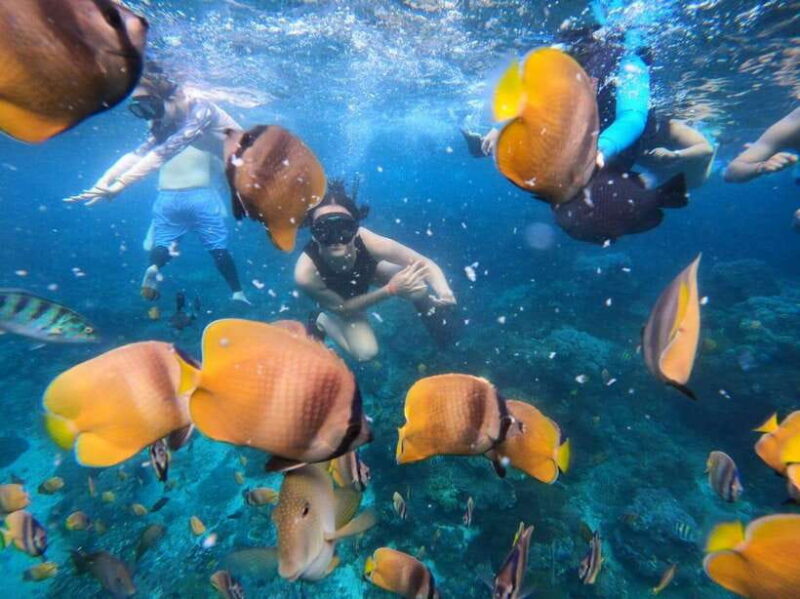 Bali Full Day Trip Fishing, Snorkeling,Eat in Candidasa - Key Points