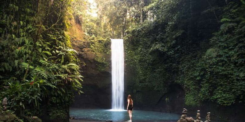 Bali: Full-Day Trip to Penglipuran Village and Bamboo Forest - Key Points