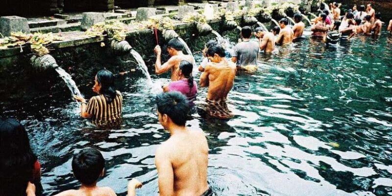 Bali: Full-Day Trip to Penglipuran Village and Bamboo Forest - The Sum Up