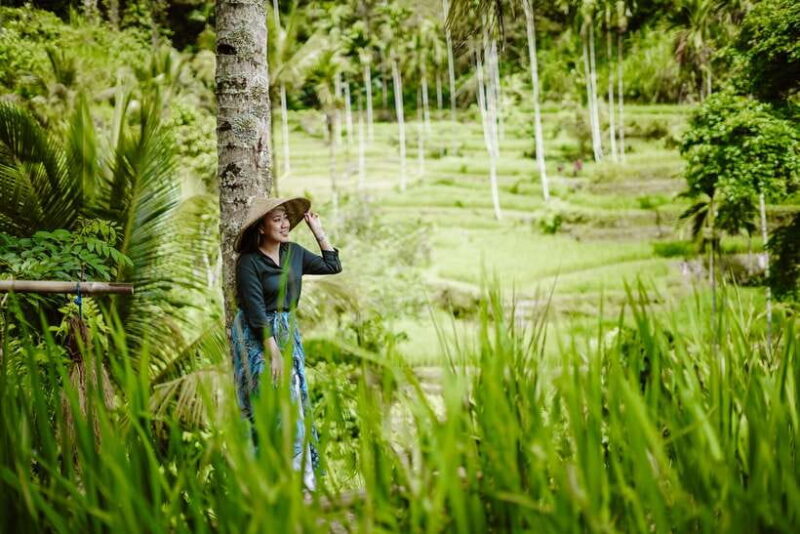 Bali: Full-Day Ubud Highlight & Tanah Lot Temple Sunset Tour - Practical Tips for Booking and Enjoying