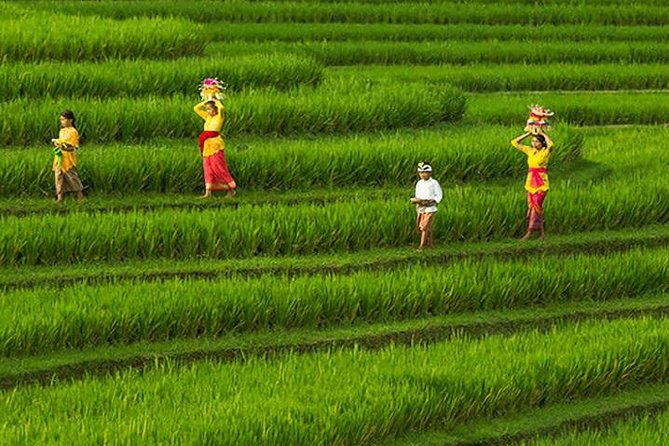 Bali Full-Day Wonderful Sightseeing Tour with Lunch - Final Thoughts