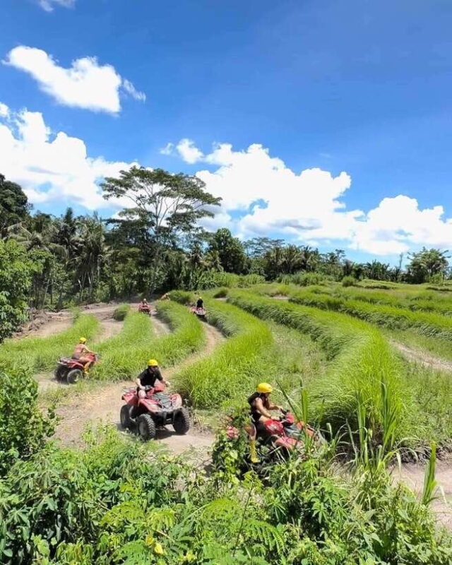 Bali: Guided Quad Bike Ride with Waterfall and Swing Options - Practical Tips