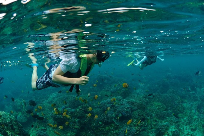 Bali Hai - Aristocat Sailing Cruise - How the Water Activities Enhance the Experience