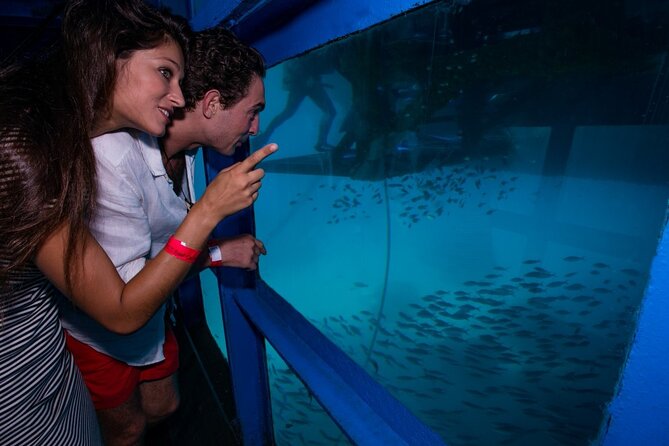 Bali Hai - Reef Cruise - Return Journey and Optional Sunset Cruise