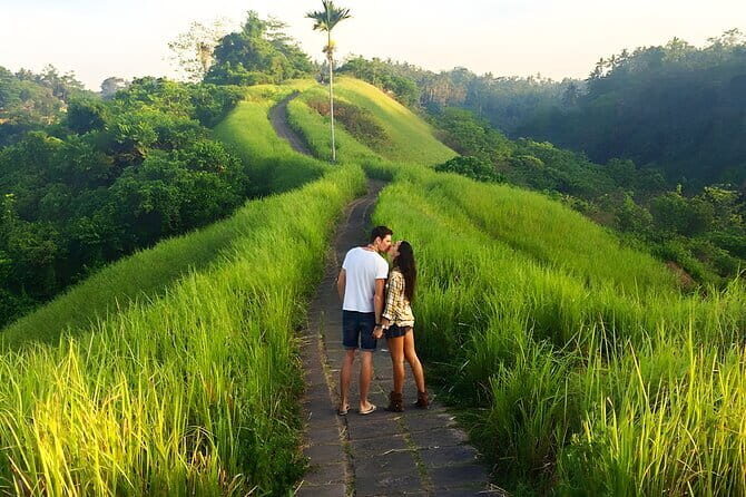Bali Half-Day Car Charter: Ubud Waterfall Tour - The Sum Up